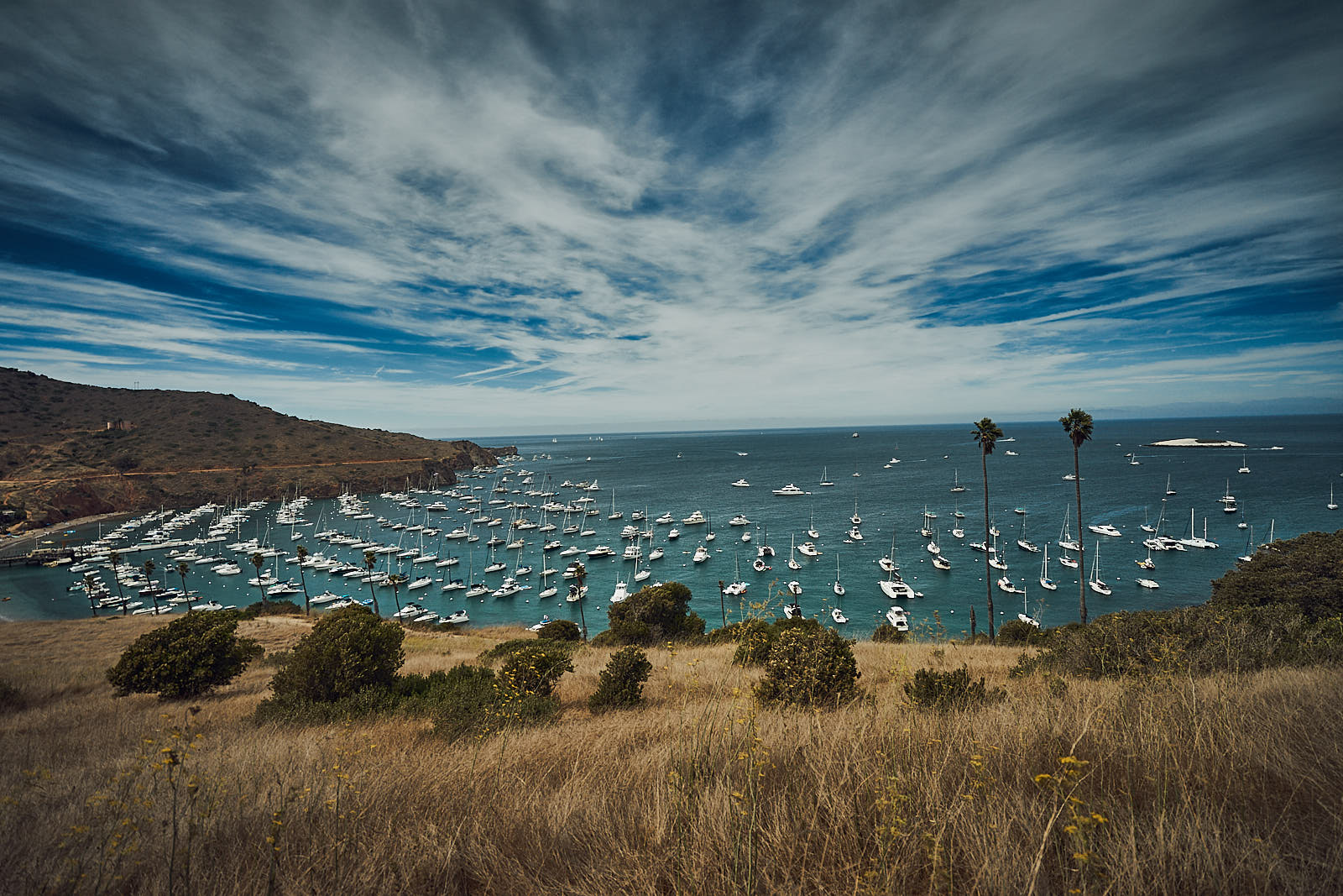 Catalina – JSN555