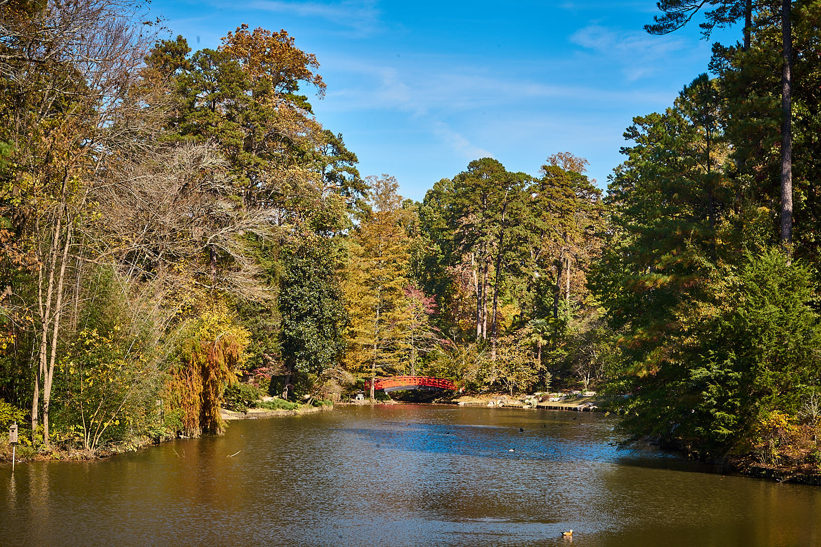 Duke Garden Pond – JSN555